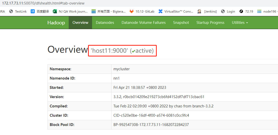 Linux下部署HDFS | Transcendent