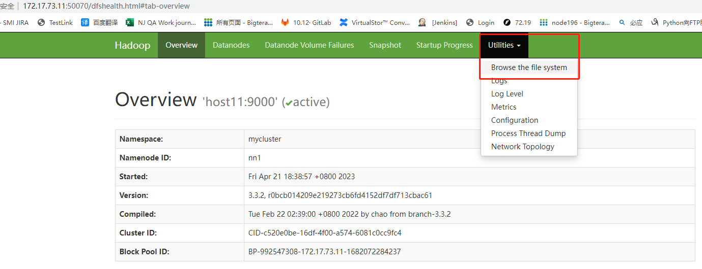 Linux下部署HDFS | Transcendent