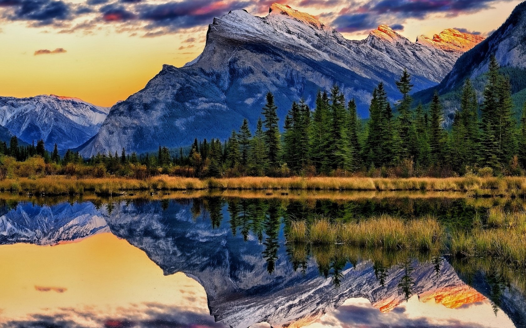 API获取Jenkins构建信息 | Transcendent